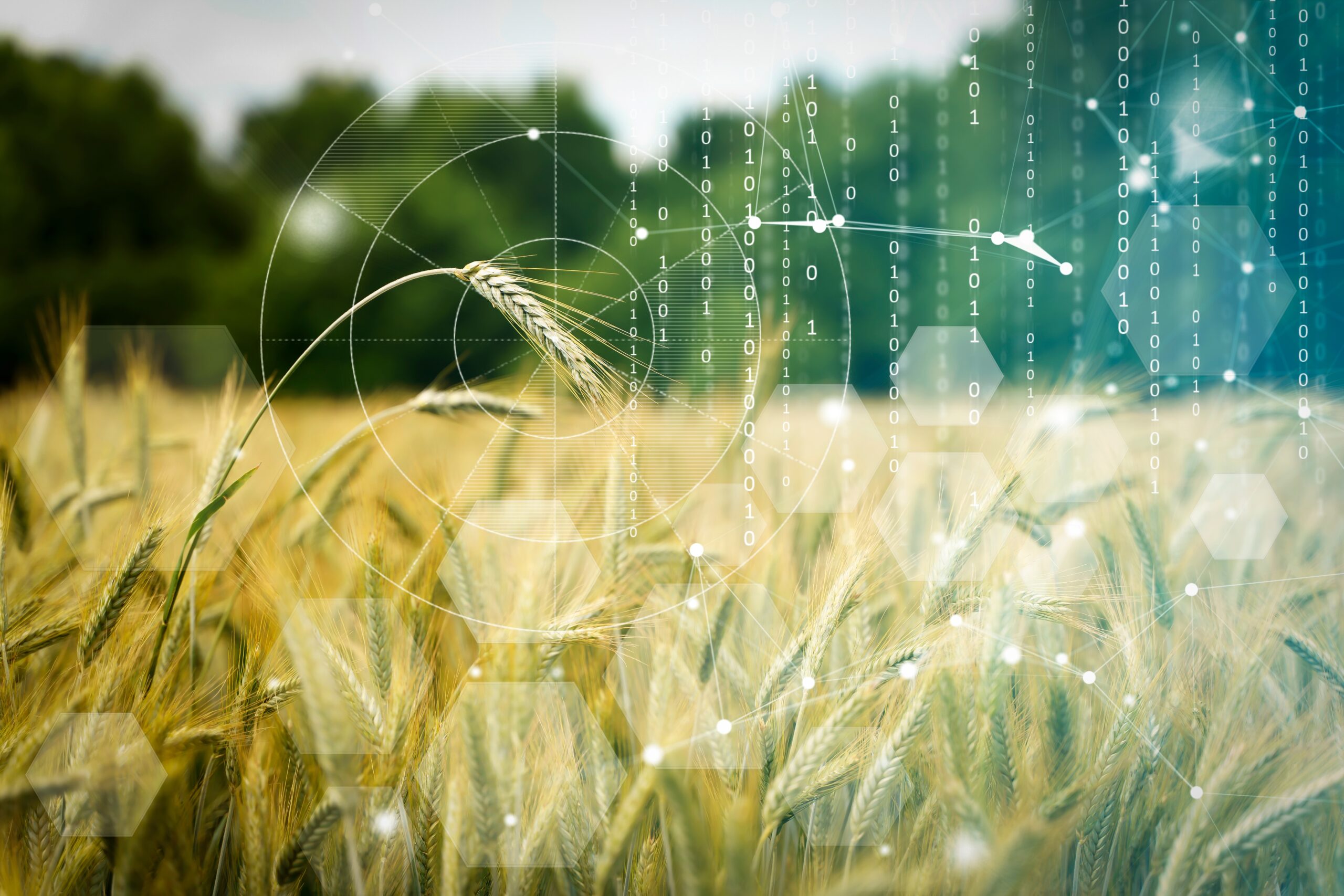 How AgriSynth is redefining AI development for agriculture | UK Agri ...