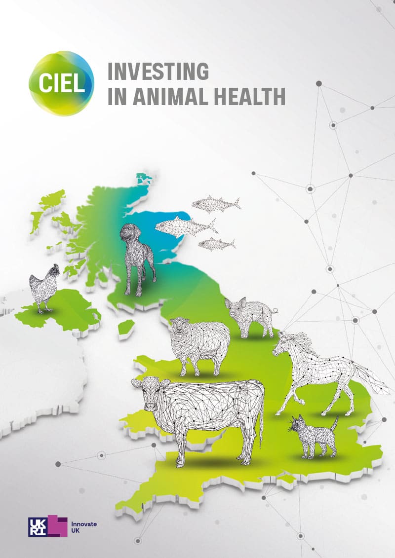 Investing in animal health | UK Agri-Tech Centre