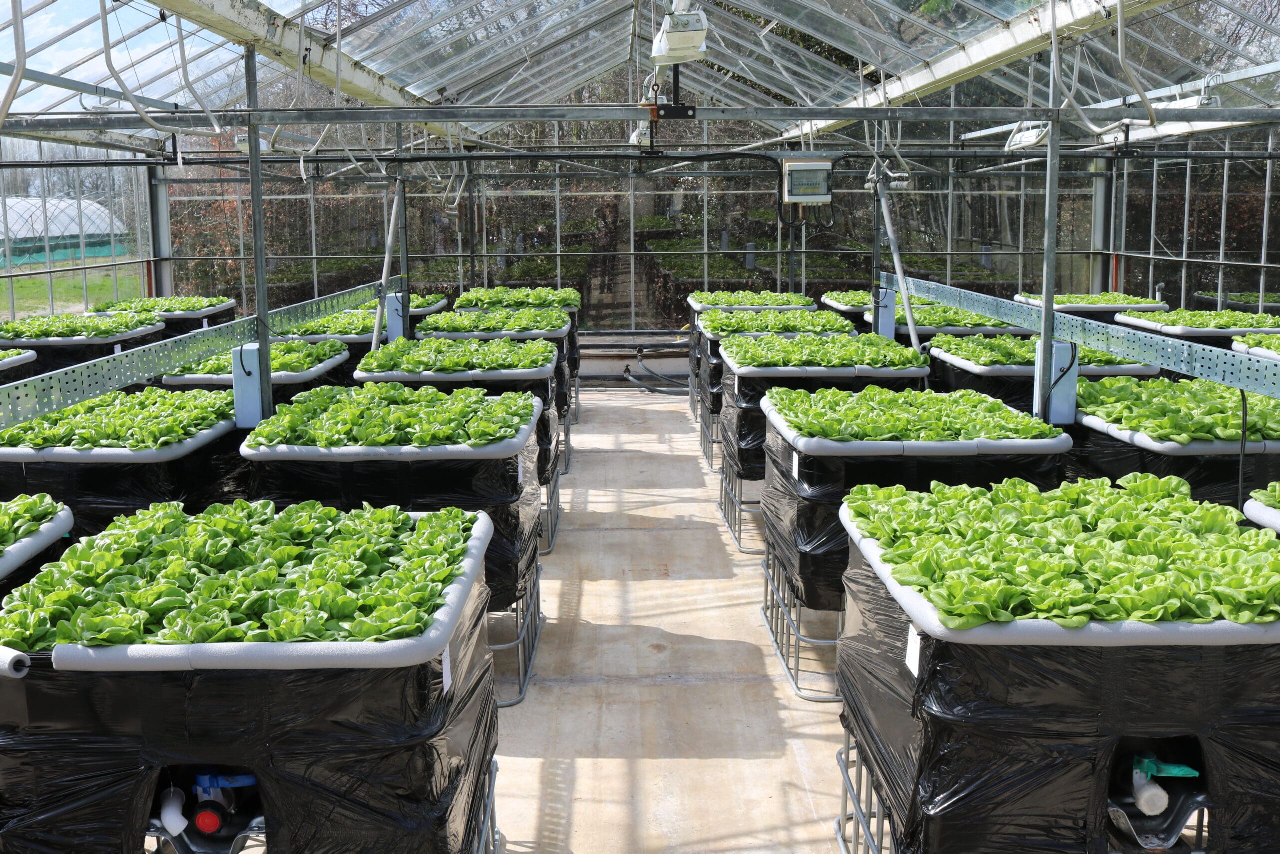 Projects | UK Agri-Tech Centre | Farming and food innovation