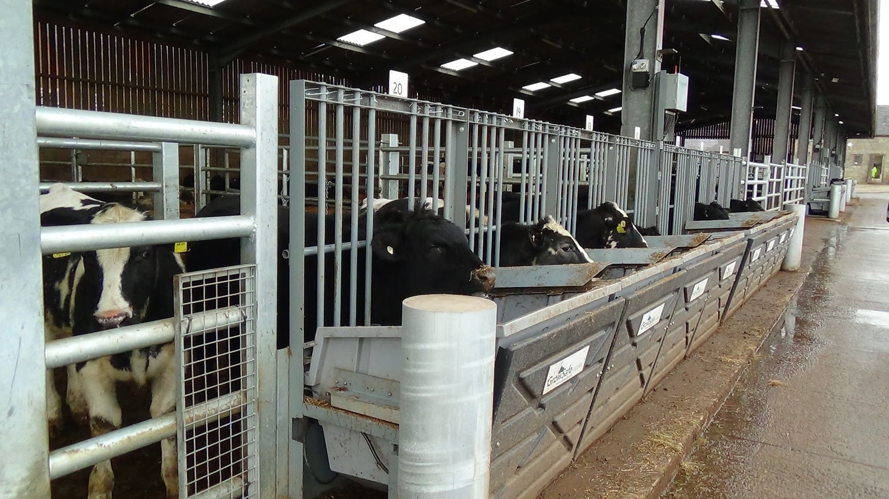 Beef Grower-Finisher System | UK Agri-Tech Centre