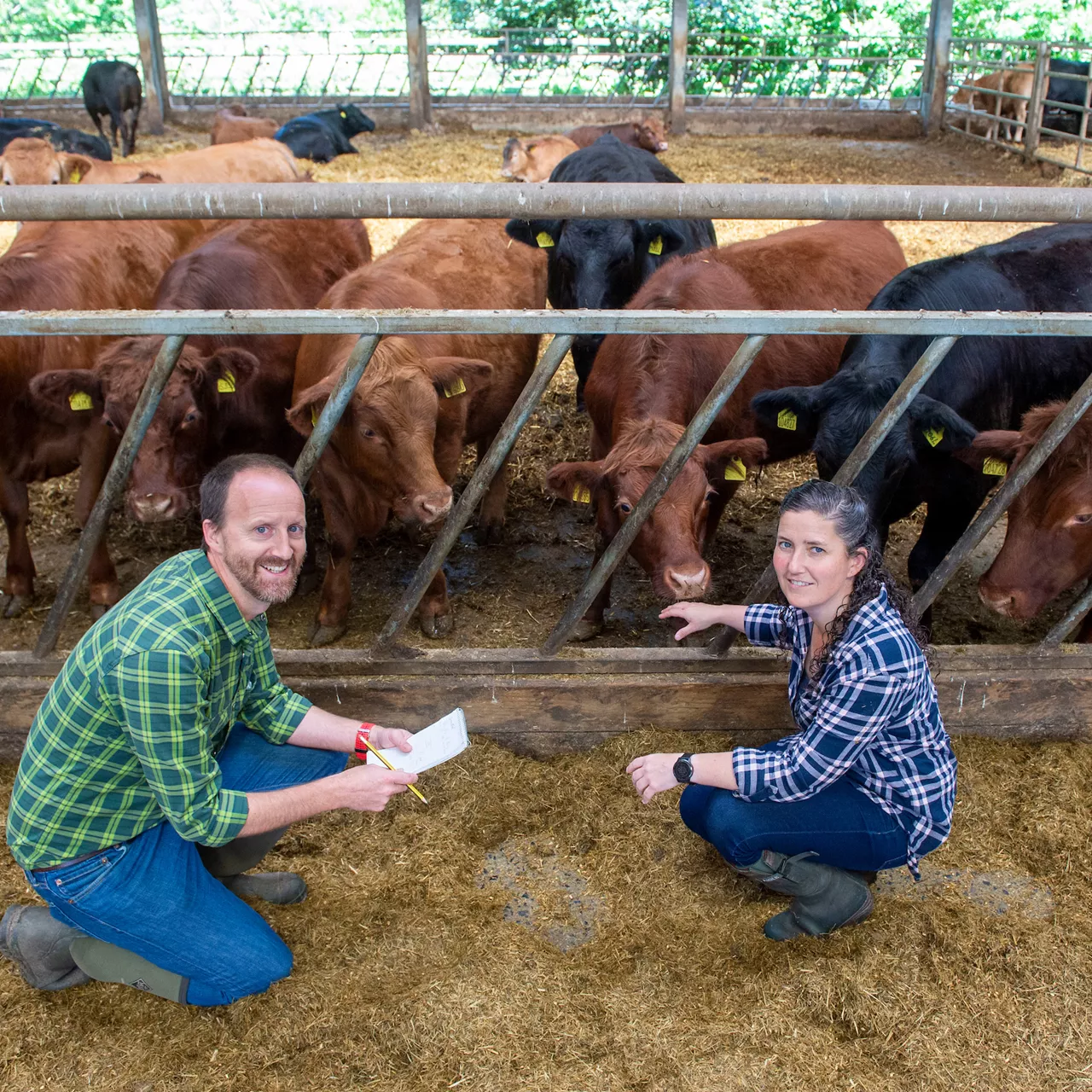 Greenshed | UK Agri-Tech Centre