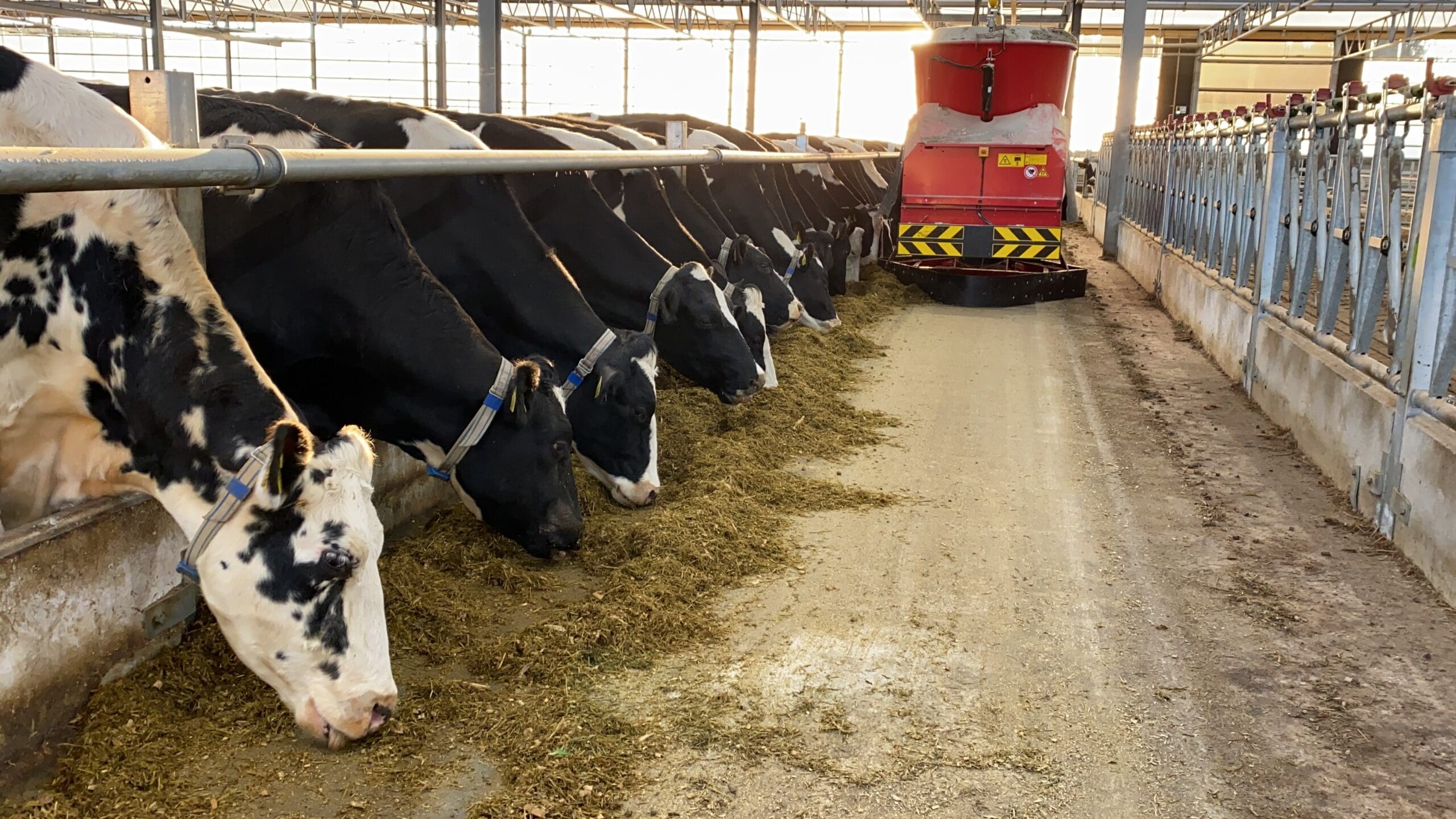 Future Farm Dairy Unit | UK Agri-Tech Centre