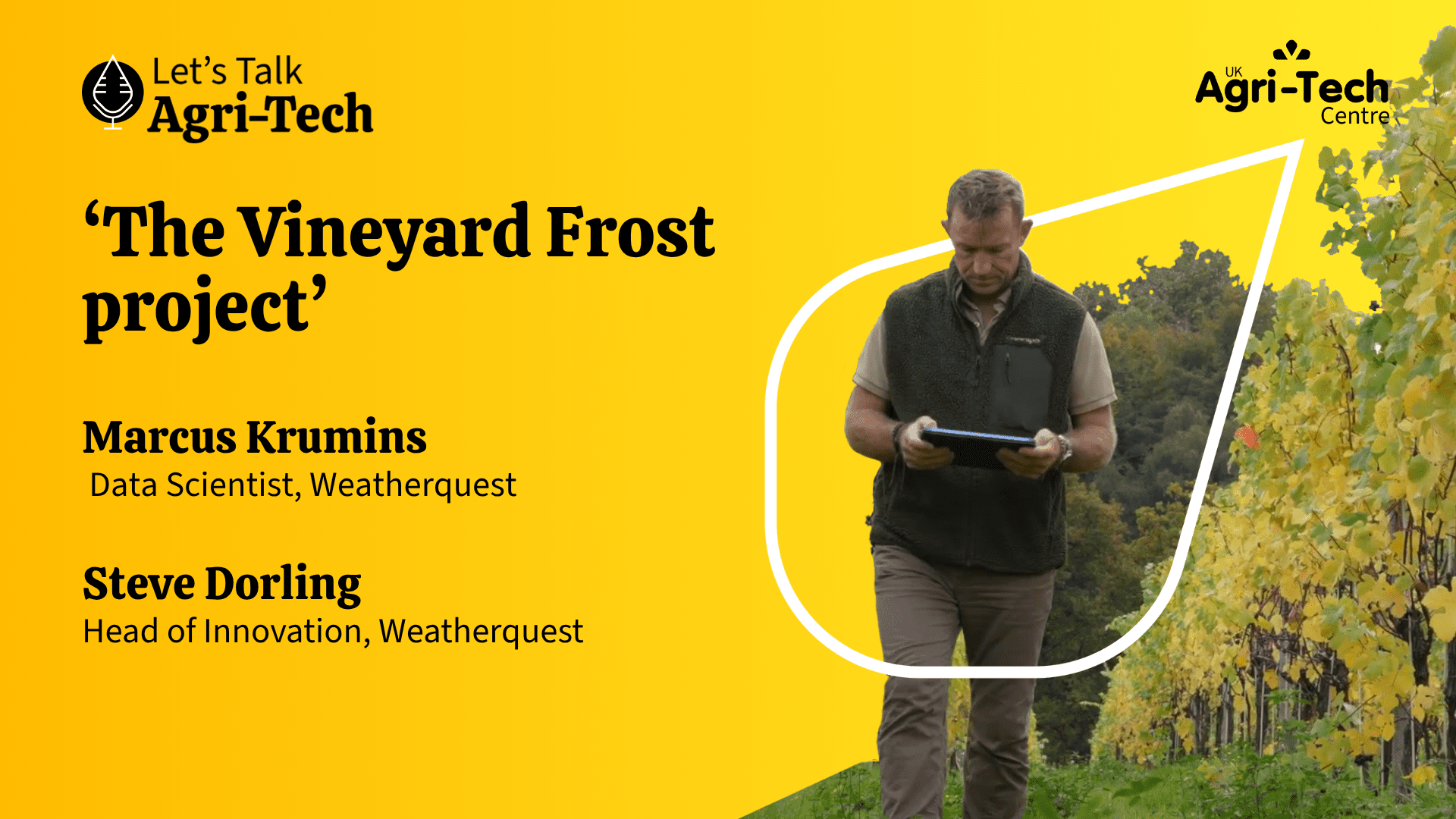 The Vineyard Frost project | UK Agri-Tech Centre